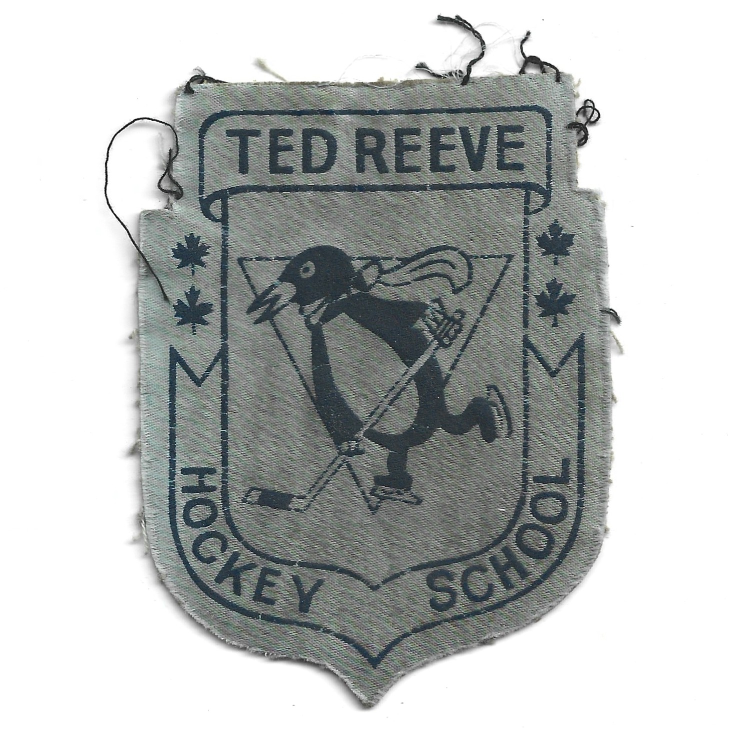 Ted Reeve Hockey School Patch - Parry's Vintage