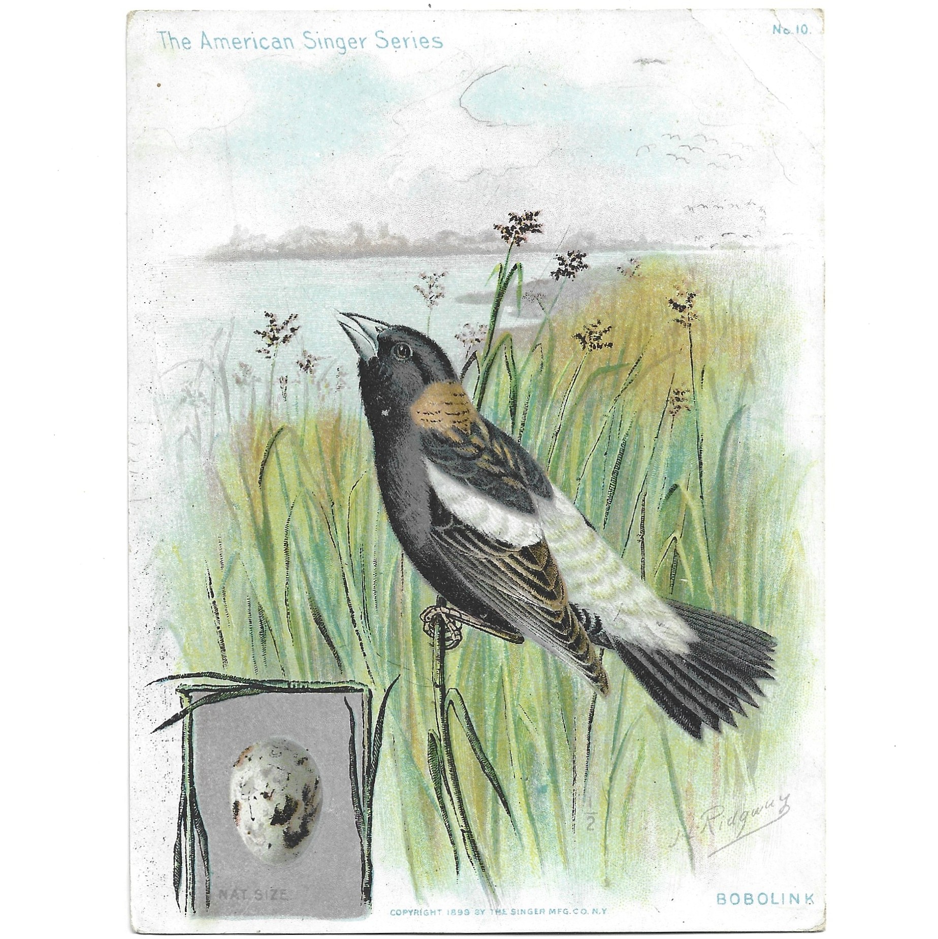 1899 American Singer Series Trade Card - Parry's Vintage