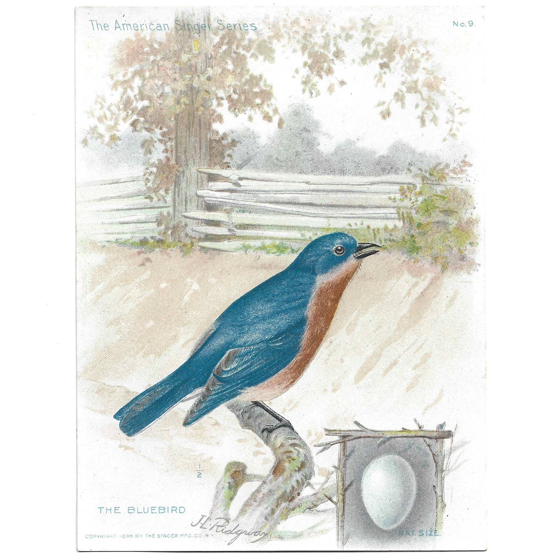 1899 American Singer Series Trade Card - Parry's Vintage