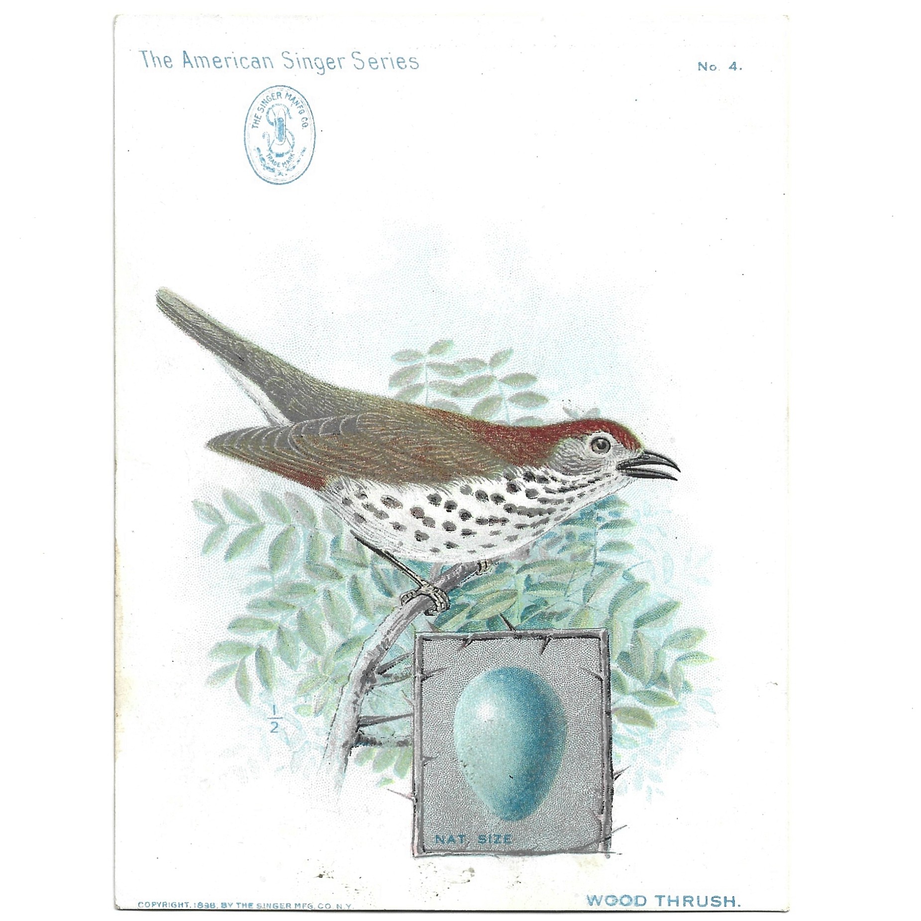 1899 American Singer Series Trade Card - Parry's Vintage