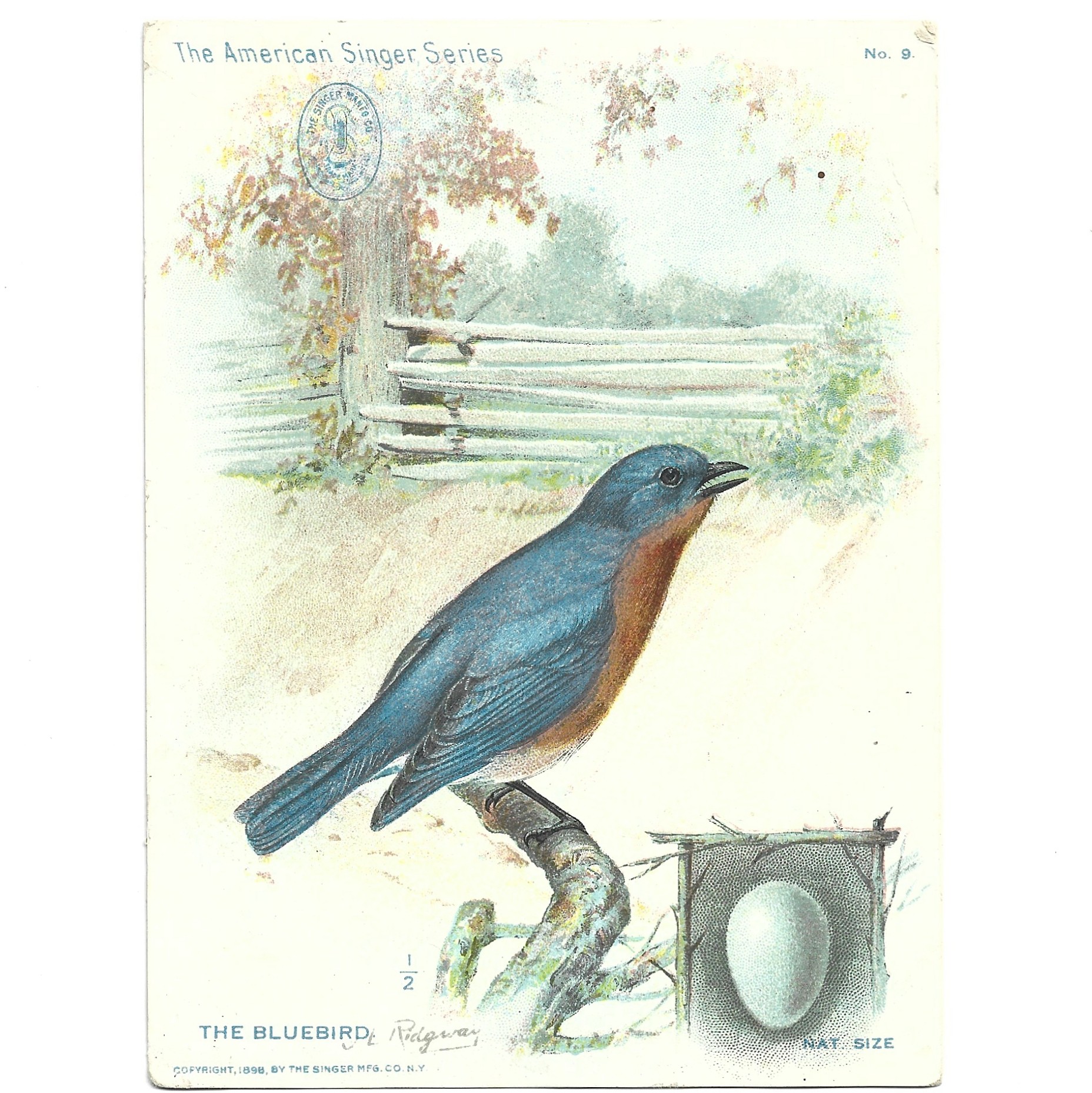 1899 American Singer Series Trade Card - Parry's Vintage