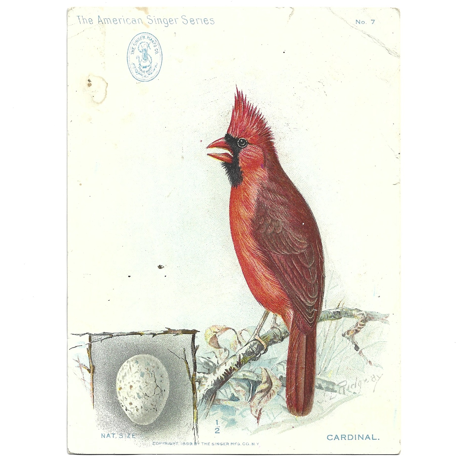 1899 American Singer Series Trade Card - Parry's Vintage