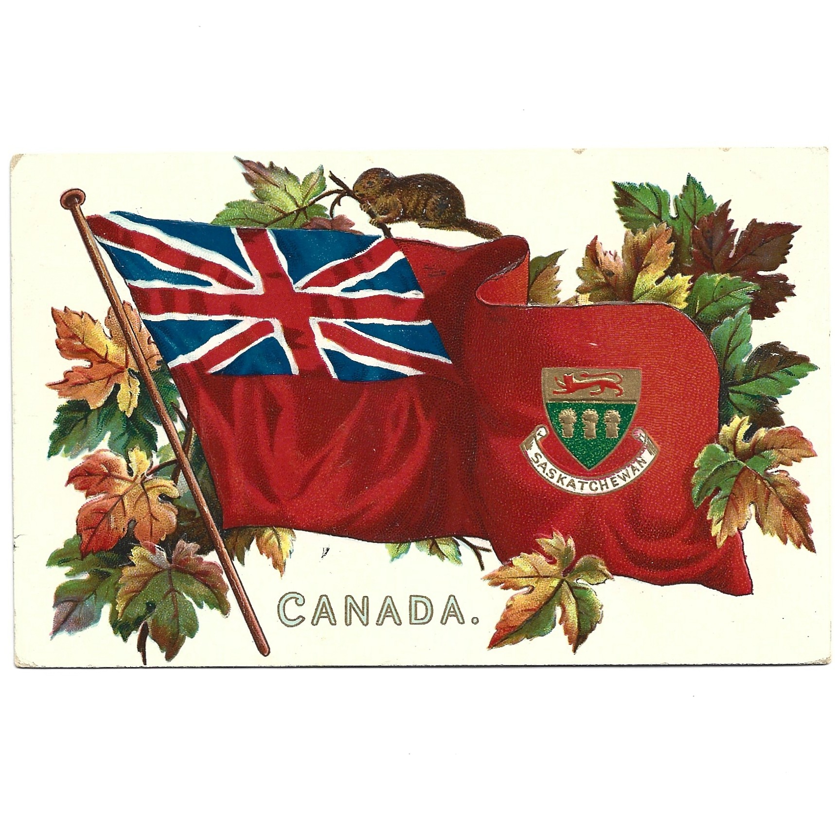 1911 Saskatchewan Canada Postcard - Parry's Vintage