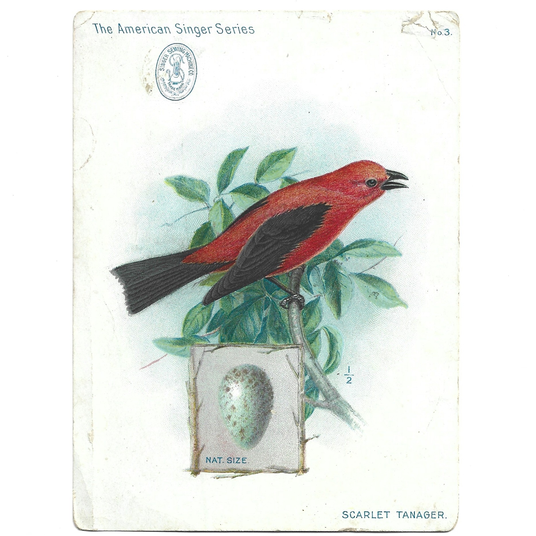 American Singer Series Trade Card - Parry's Vintage
