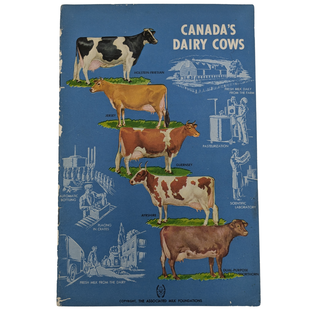 Canada's Dairy Cows - Associated Milk Foundations - Parry's Vintage